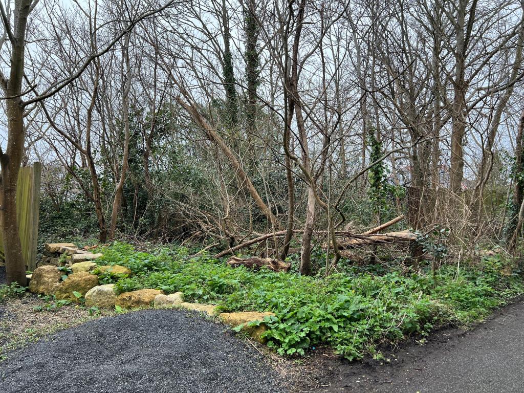LOT - 100 AUCTION - 249 - FREEHOLD LAND WITH POTENTIAL