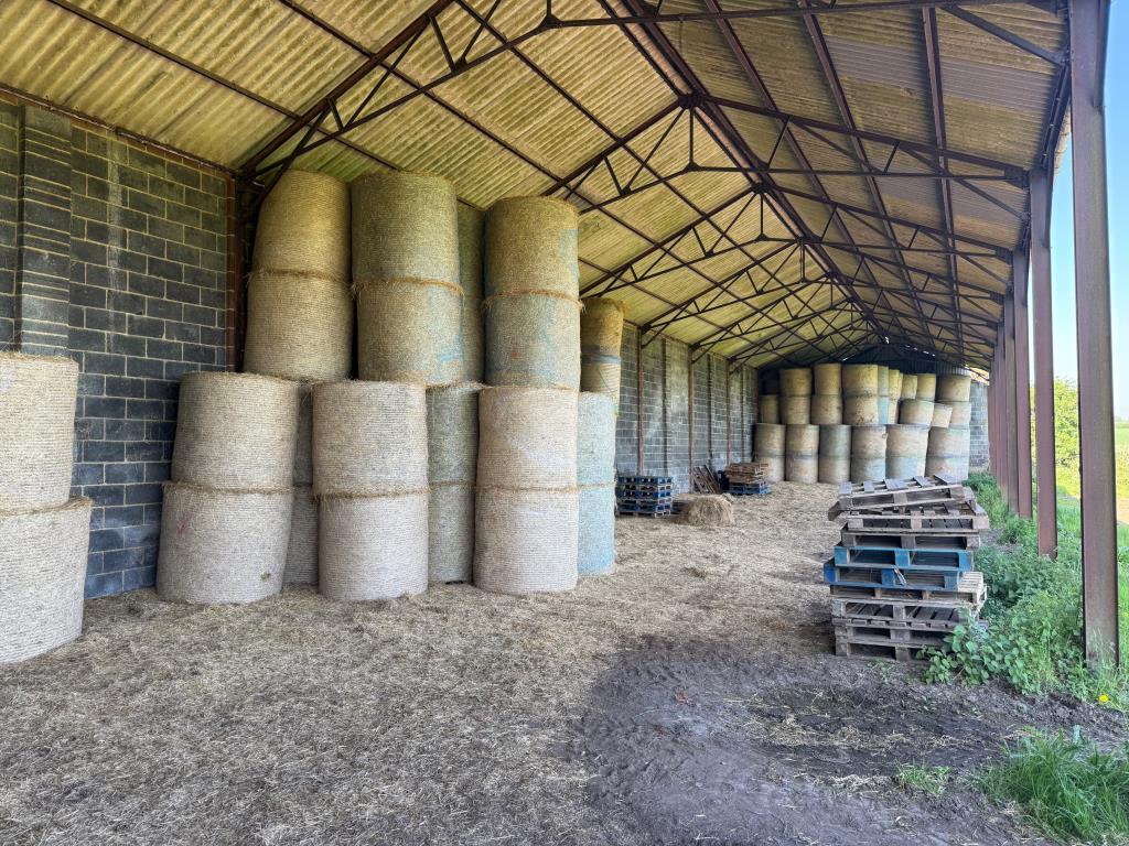 LOT - 107 AUCTION - 258 - CATTLE AND OPEN BAY HAY BARNS WITH POTENTIAL