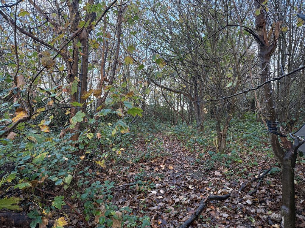 LOT - 48 AUCTION - 262 - THREE ACRES OF LAND WITH POTENTIAL JUST OFF ...